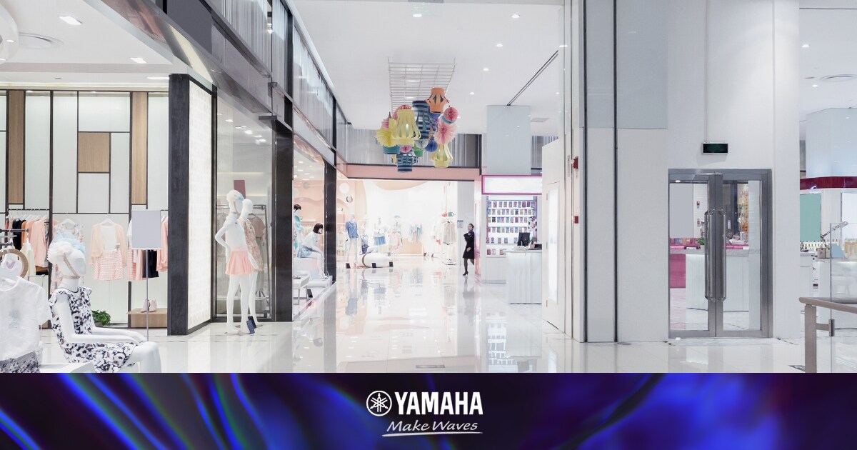 Distributed Audio & Public Address - Yamaha - Business - Africa ...